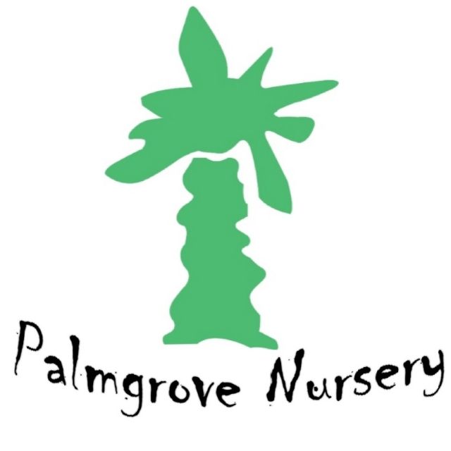 Palmgrove, Online Shop | Shopee Malaysia