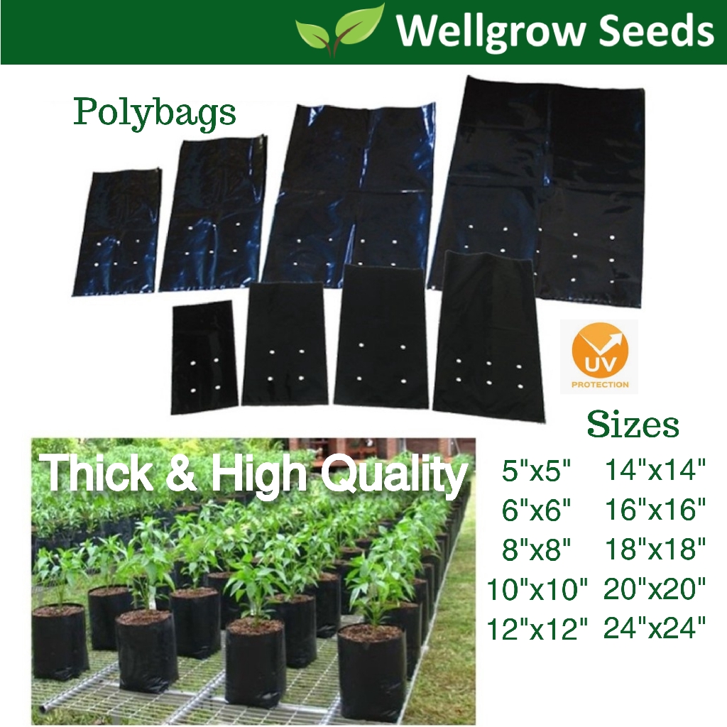 Wellgrow Seeds Official Store, Online Shop | Shopee Malaysia