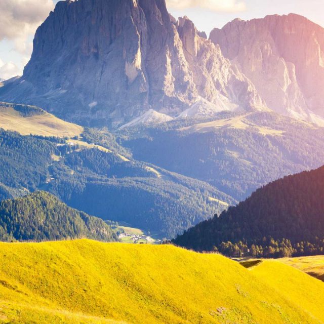 Chong Ya Official Store, Online Shop | Shopee Malaysia