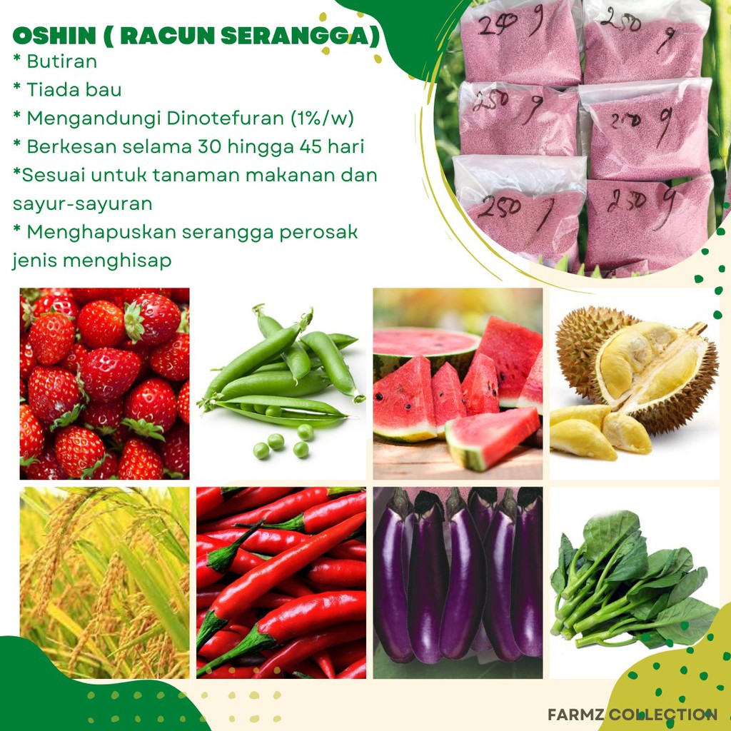 FARMZ COLLECTION, Online Shop | Shopee Malaysia