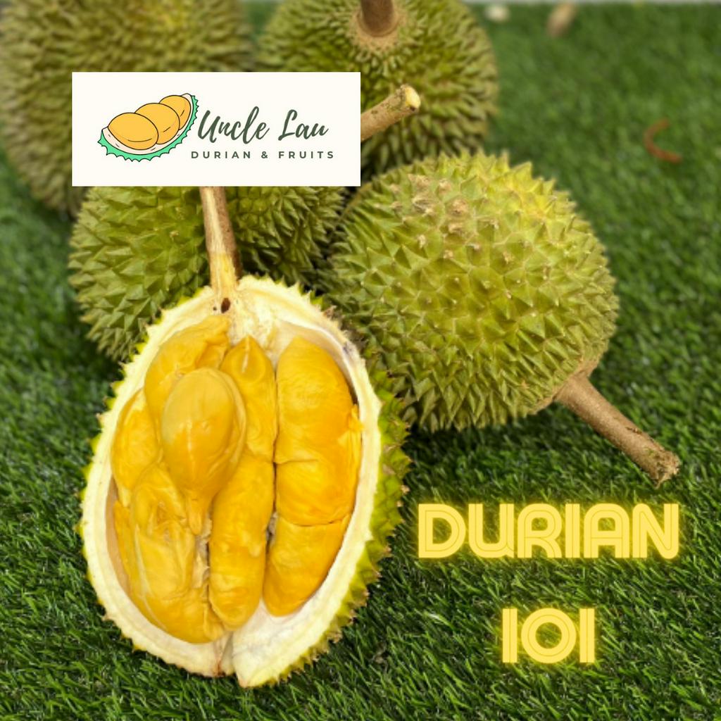 Botak Lau Durian, Online Shop | Shopee Malaysia