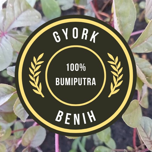 GYORK BENIH, Online Shop | Shopee Malaysia
