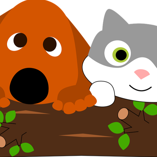 Jeenko, Online Shop | Shopee Malaysia