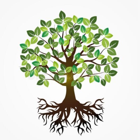 bigtreehealth, Online Shop | Shopee Malaysia