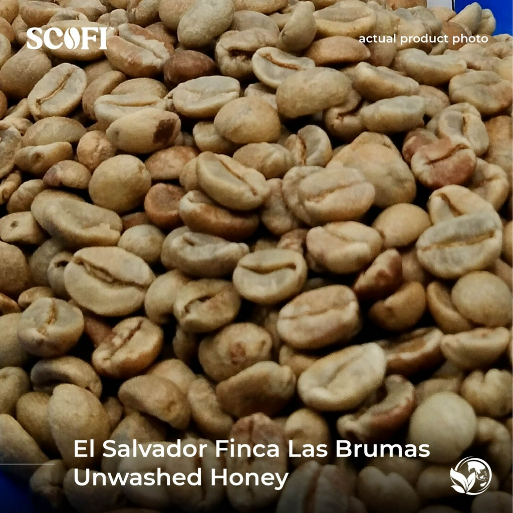 SCOFI Coffee, Online Shop | Shopee Malaysia