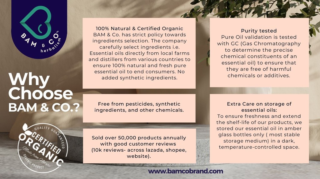 BAM & CO. OFFICIAL STORE Online, January 2026 | Shopee Malaysia