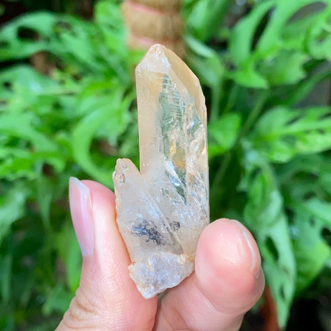 Atlantis Quartz, Online Shop | Shopee Malaysia