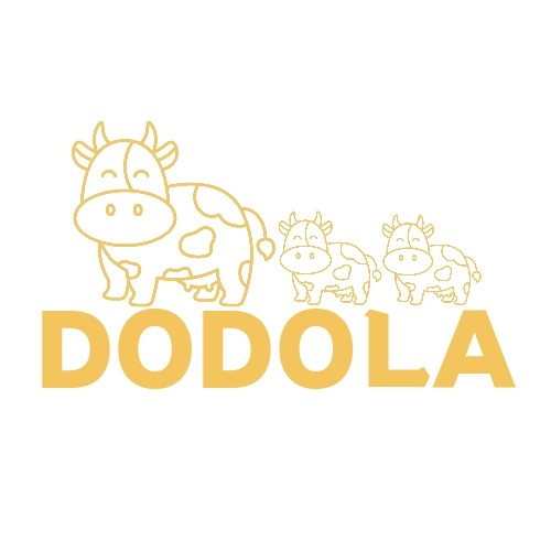 DODOLA TOY COLLECTION STORE, Online Shop | Shopee Malaysia