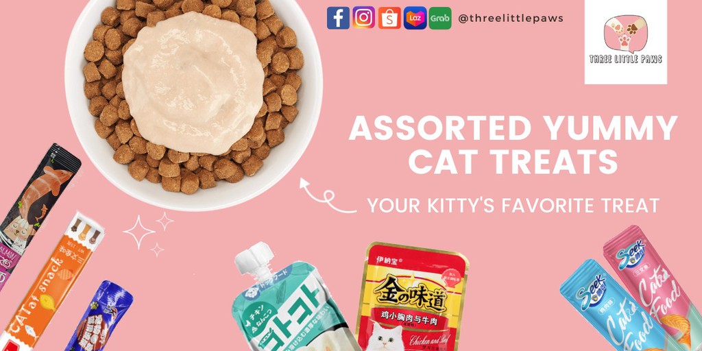 Three Little Paws, Online Shop | Shopee Malaysia
