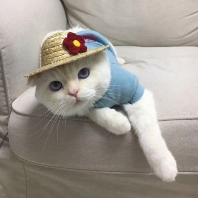 MATTITUDE.my, Online Shop | Shopee Malaysia