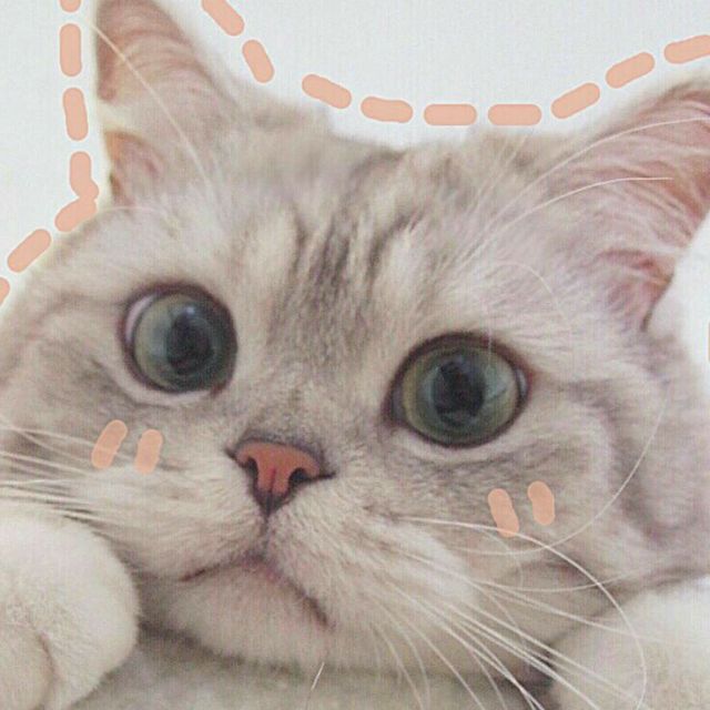 itsyourhazel, Online Shop | Shopee Malaysia