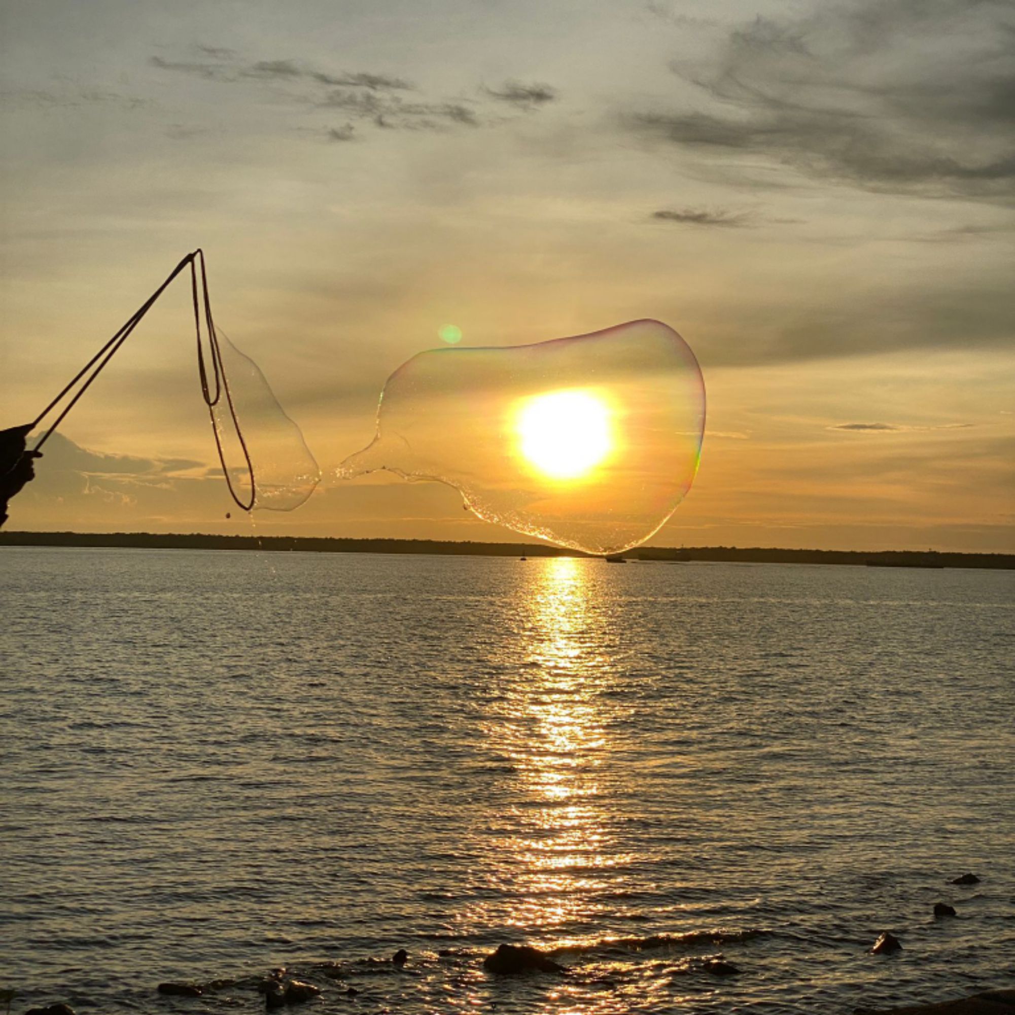 Chilly Billy, Online Shop | Shopee Malaysia