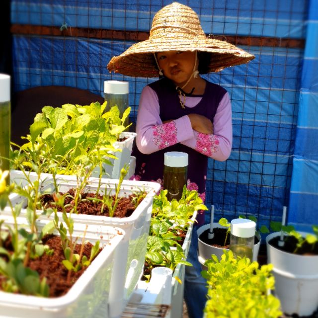 Juno Garden, Online Shop | Shopee Malaysia