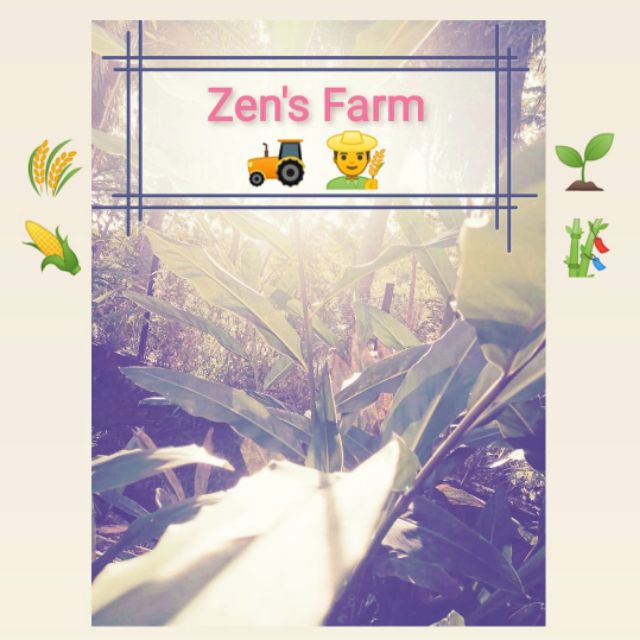 Zen's Farm, Online Shop | Shopee Malaysia