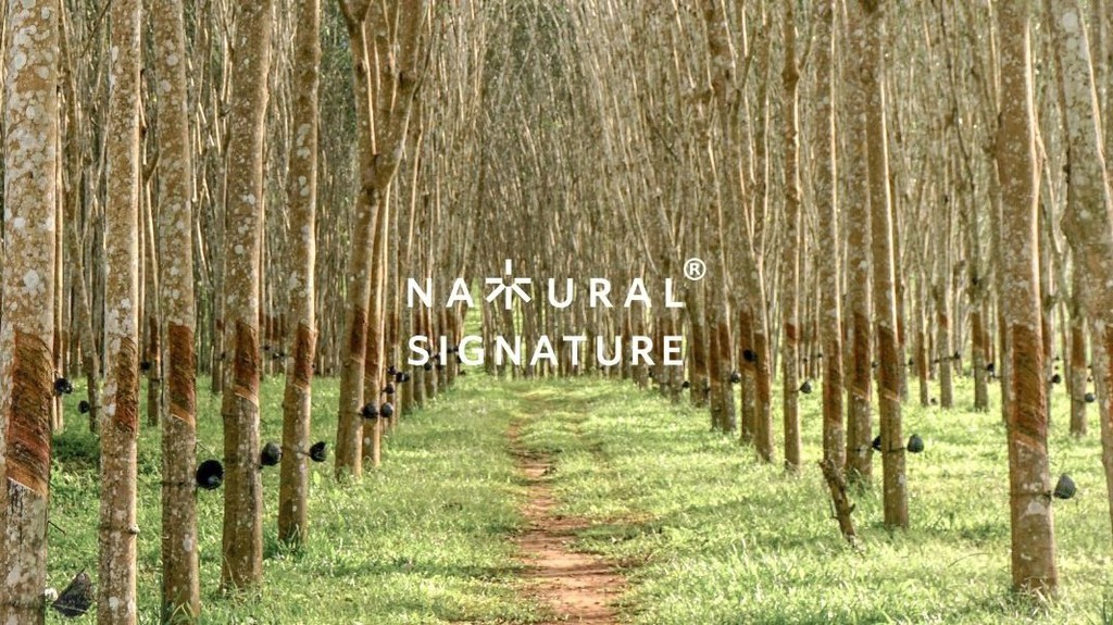Natural Signature Malaysia Online, March 2023 | Shopee Malaysia