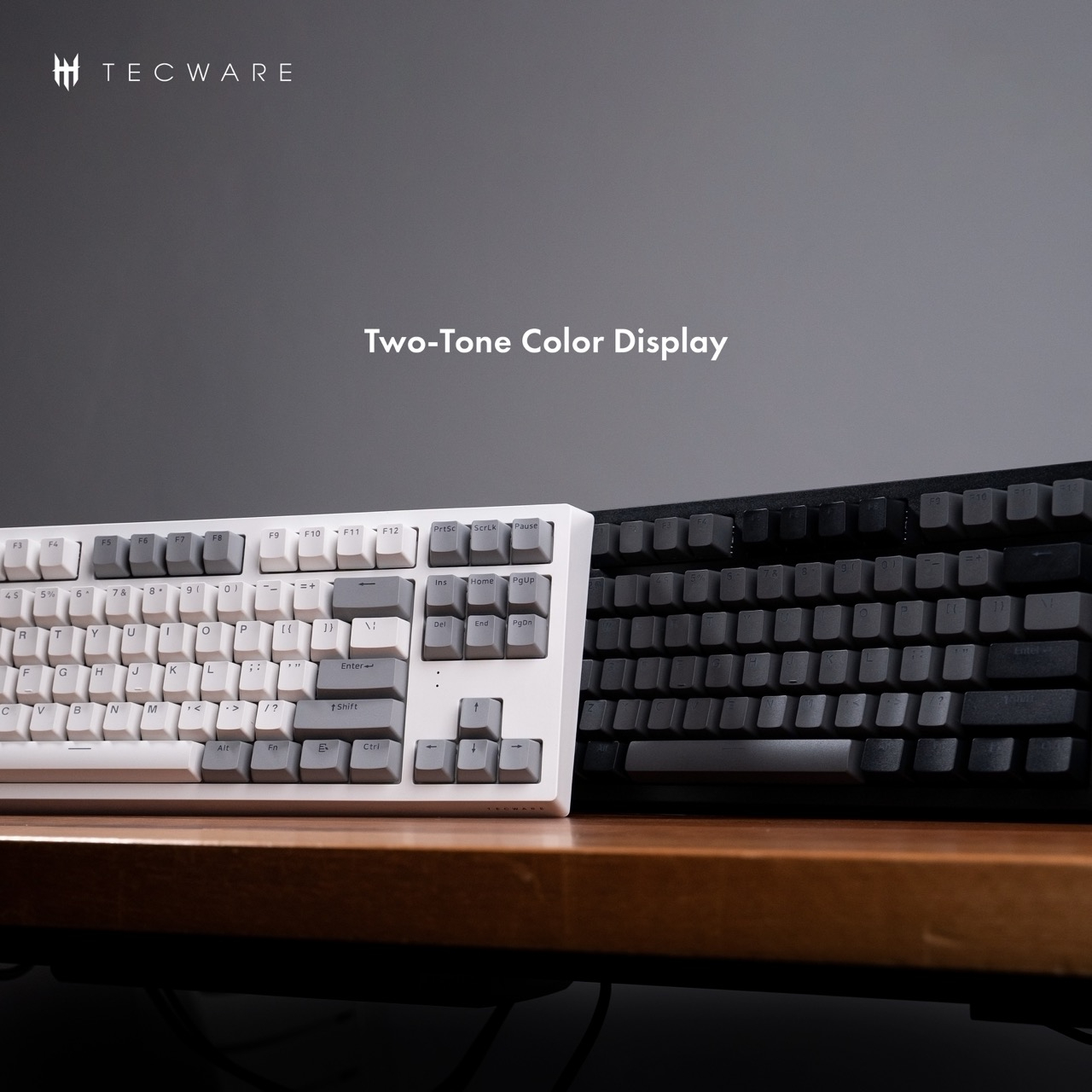 Tecware Malaysia Official Store Online, January 2024 | Shopee Malaysia