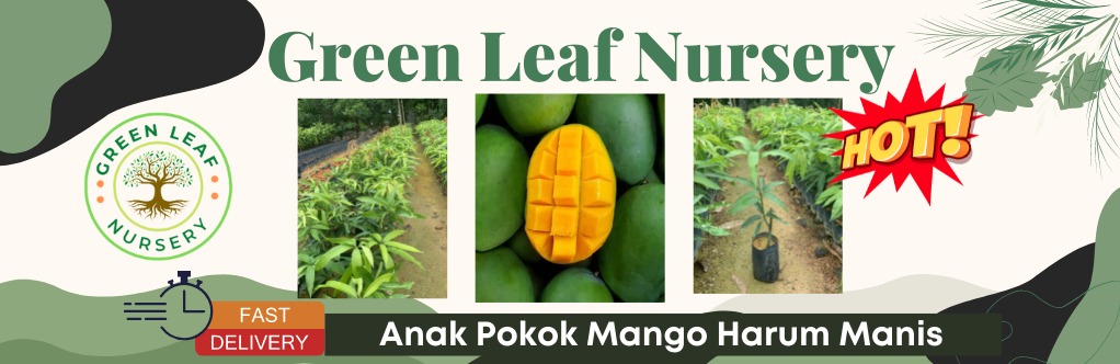 Green Leaf Nursery, Online Shop | Shopee Malaysia