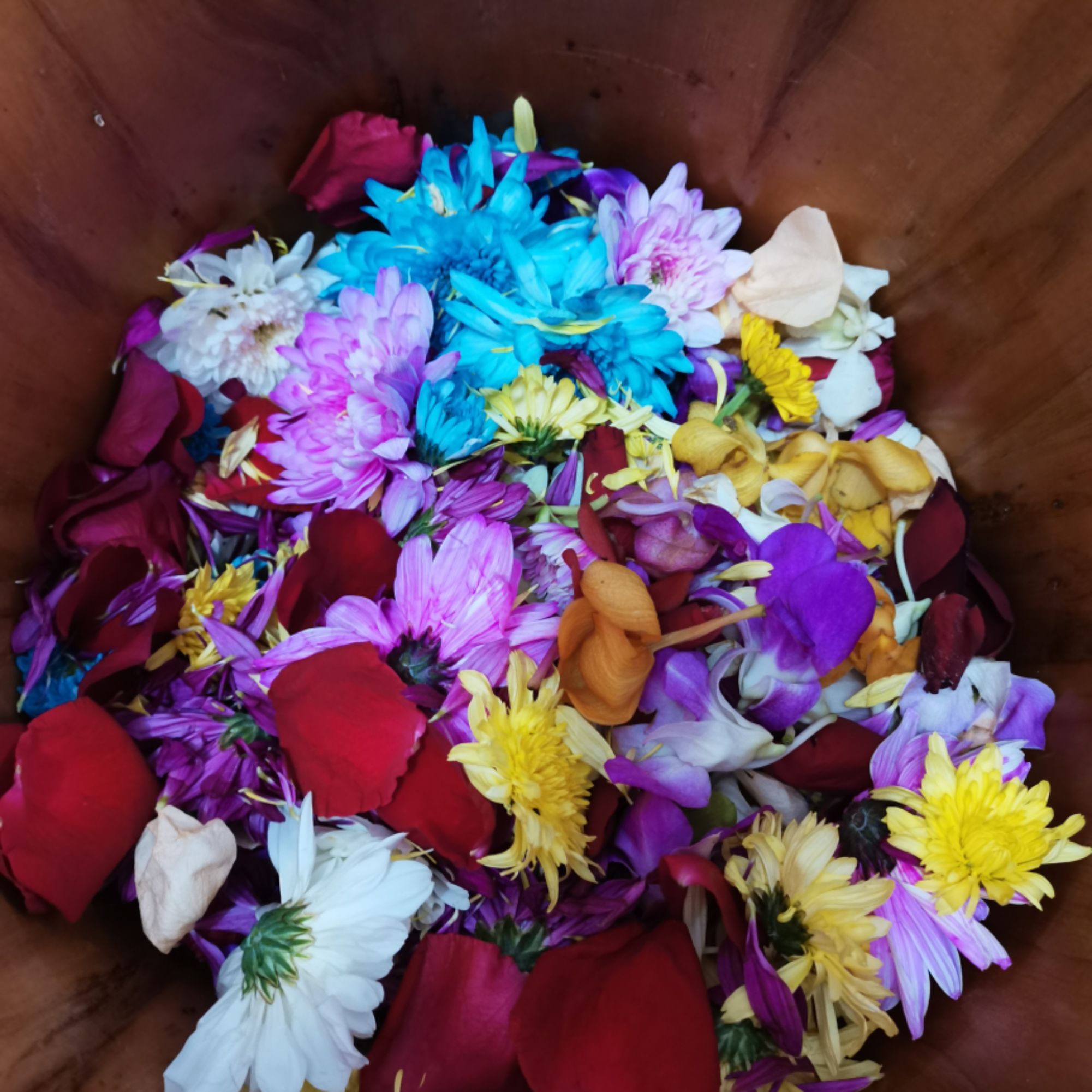 Jesz Resources, Online Shop | Shopee Malaysia