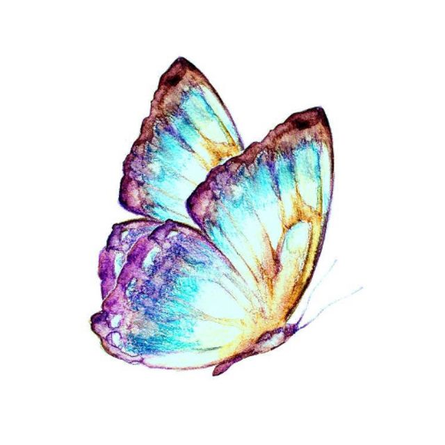 初柳_Butterfly, Online Shop | Shopee Malaysia