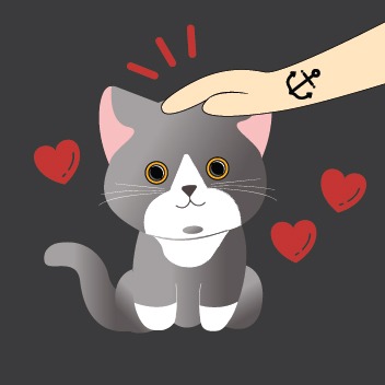 DD CAT & PET MALAYSIA, Online Shop | Shopee Malaysia