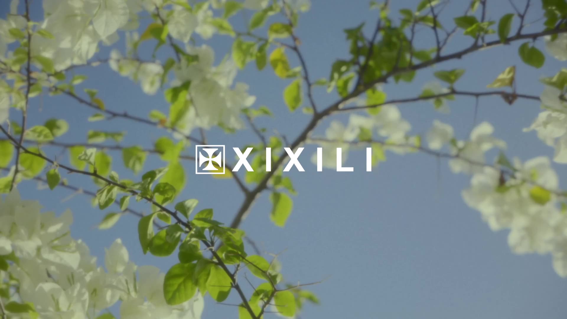 XIXILI Online, November 2023 | Shopee Malaysia