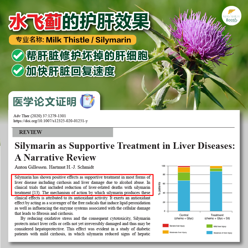 Master Liv Official Store, Online Shop | Shopee Malaysia