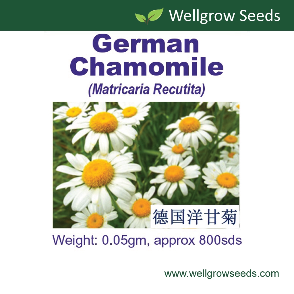 Well Grow Seeds