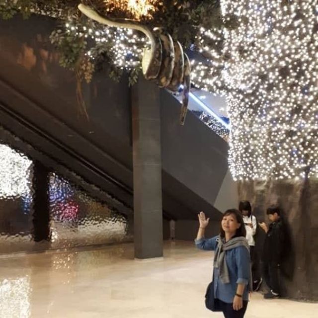 Amlife - DeepZleep Bed, Online Shop | Shopee Malaysia