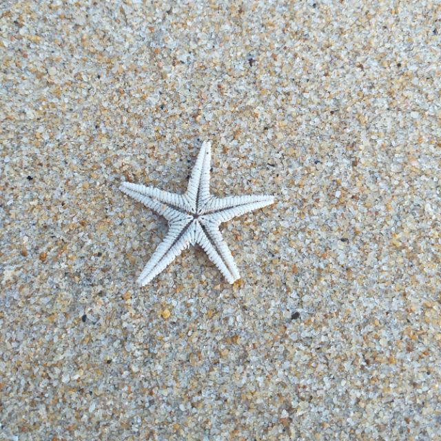 KT Store Official, Online Shop | Shopee Malaysia