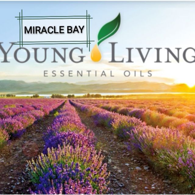 Miracle Bay, Online Shop | Shopee Malaysia