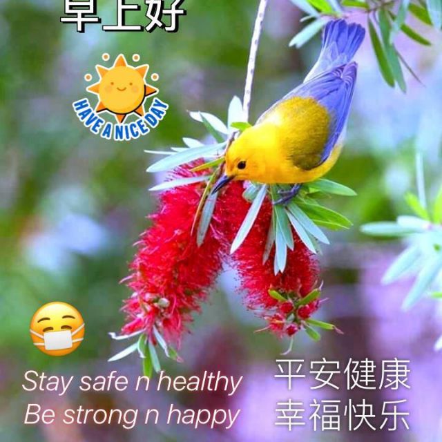 Zeeraf e-Store, Online Shop | Shopee Malaysia