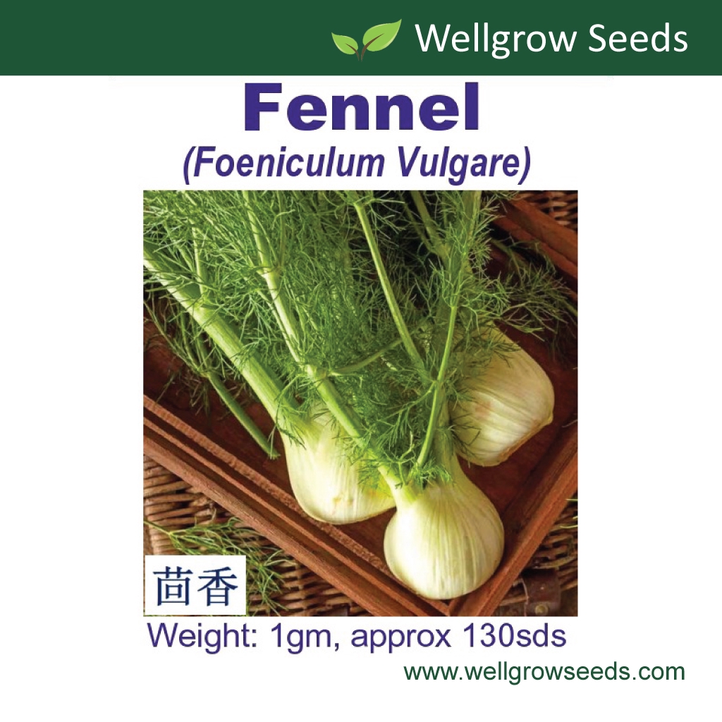 Wellgrow Seeds Official Store, Online Shop | Shopee Malaysia