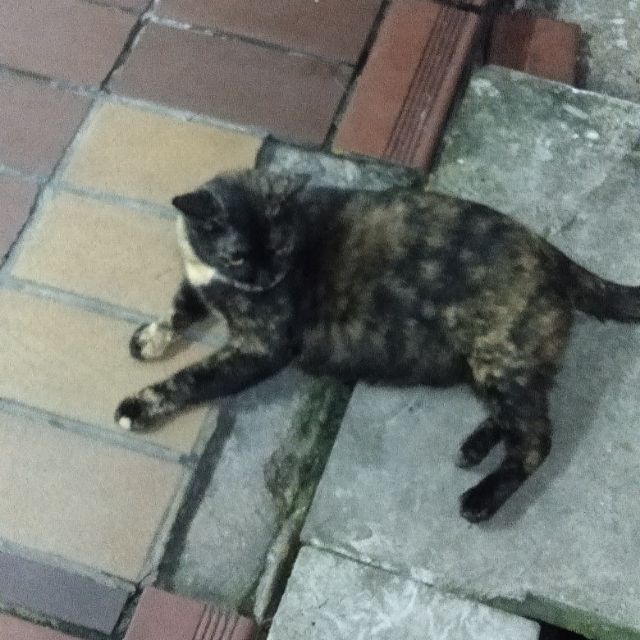 Books and Things, Online Shop | Shopee Malaysia