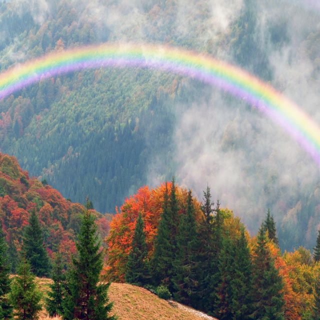 SHAIN, Online Shop | Shopee Malaysia