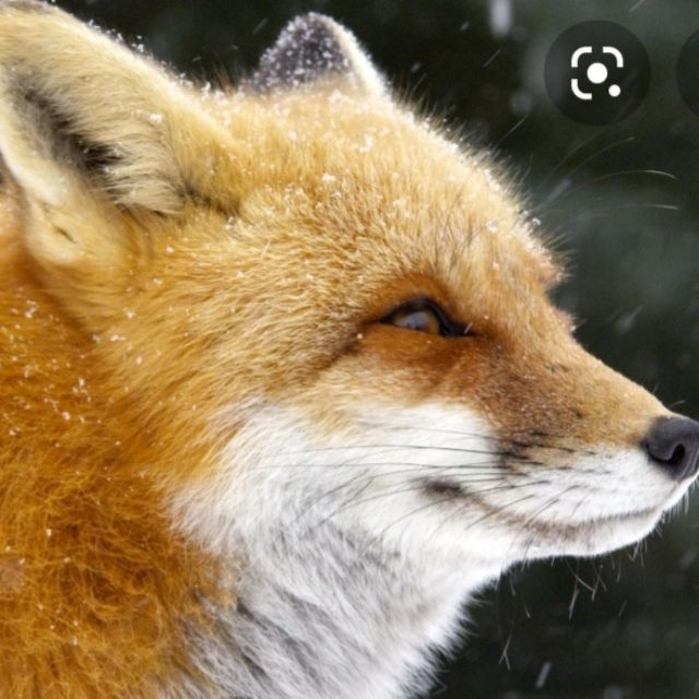 M&M DRAWER, Online Shop | Shopee Malaysia