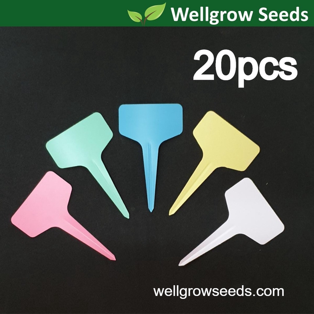 Wellgrow Seeds Official Store, Online Shop | Shopee Malaysia