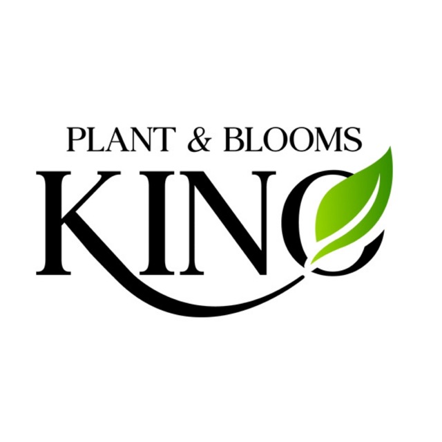KINO PLANT & BLOOMS, Online Shop | Shopee Malaysia