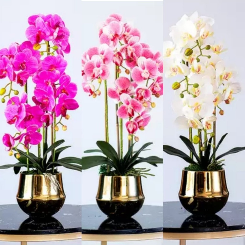 Si Kunang Kunang Shop, Online Shop | Shopee Malaysia