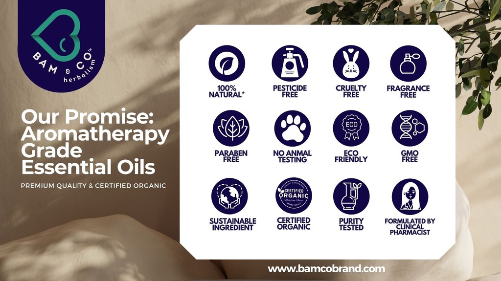 BAM & CO. OFFICIAL STORE Online, July 2024 | Shopee Malaysia