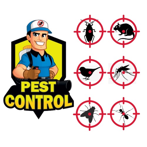 Pest Solve, Online Shop | Shopee Malaysia