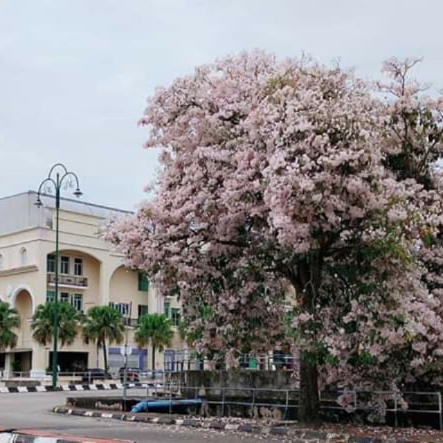 ohsem.service, Online Shop | Shopee Malaysia