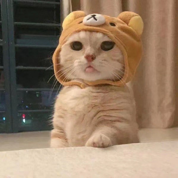 Shirley Store, Online Shop | Shopee Malaysia