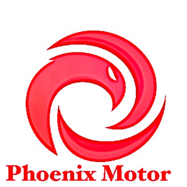 PHOENIX MOTOR PARTS, Online Shop | Shopee Malaysia