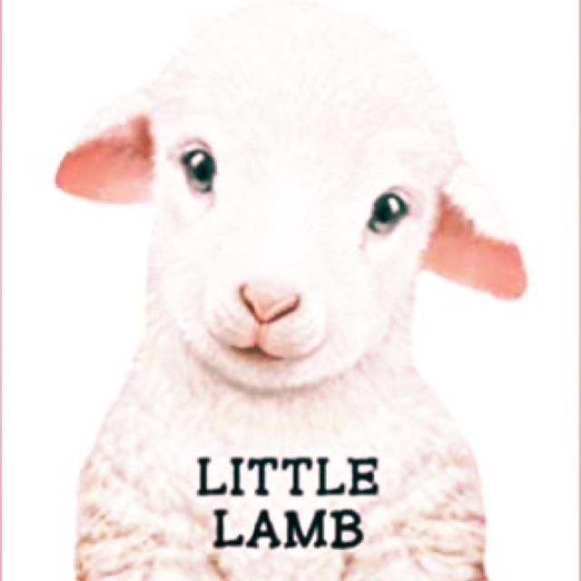 Little Lamb Shop, Online Shop | Shopee Malaysia