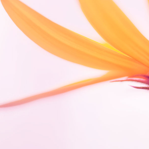 Night Label, Online Shop | Shopee Malaysia