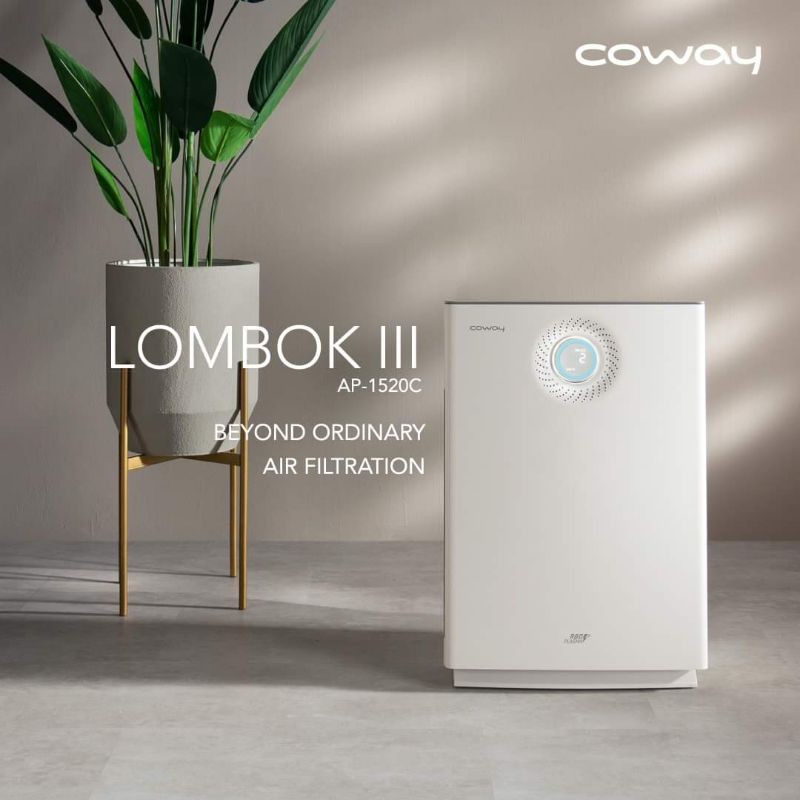Lombok air purifier store