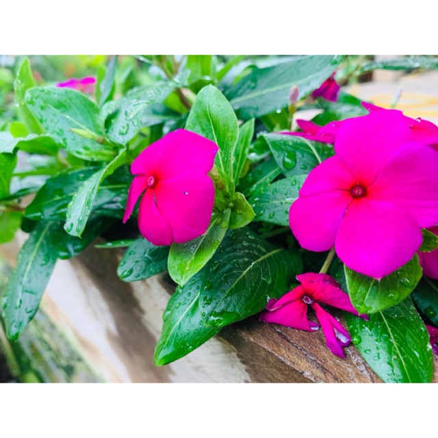 fawa.gallery, Online Shop | Shopee Malaysia