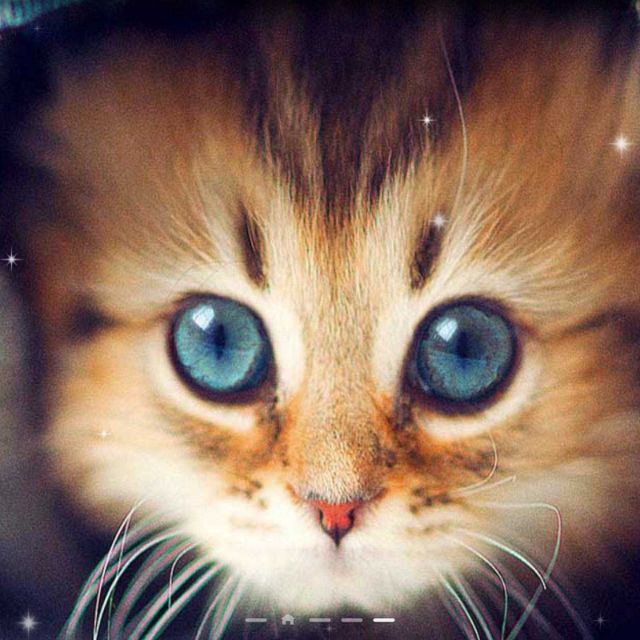 chai_alex, Online Shop | Shopee Malaysia