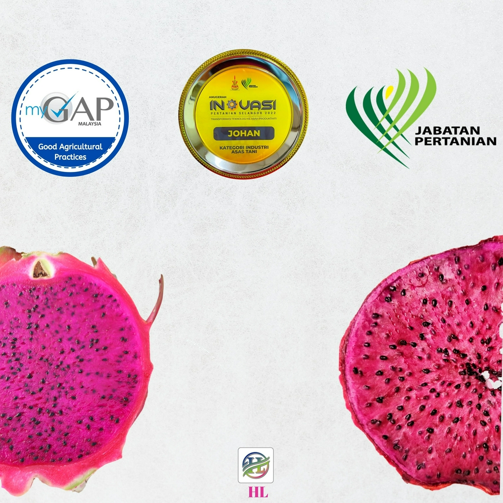 HL Dragon Fruit Eco Farm @Sepang, Online Shop | Shopee Malaysia