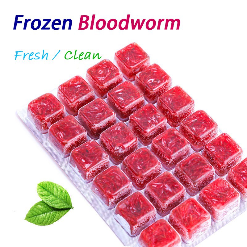 Bloodworm Inn Aquatic & Pet, Online Shop | Shopee Malaysia